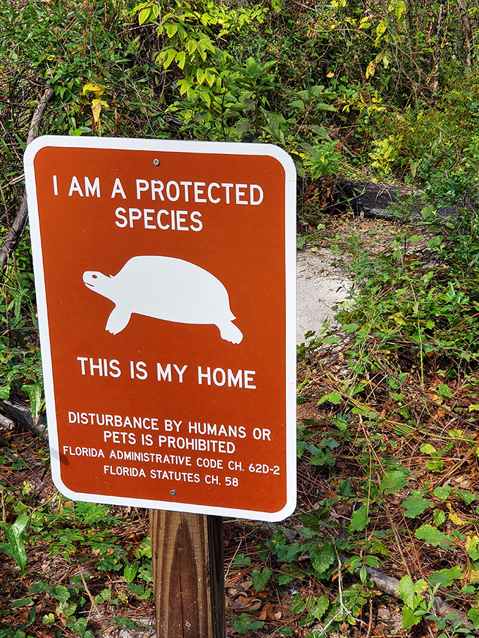 Florida's VIP residents: These gopher tortoise warning signs remind us we're merely visitors in their ancient homeland. Respect the shell!