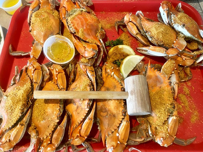 Steamed crabs arrive like edible puzzle boxes &ndash; the wooden mallet isn't just a tool, it's your ticket to sweet, succulent victory.