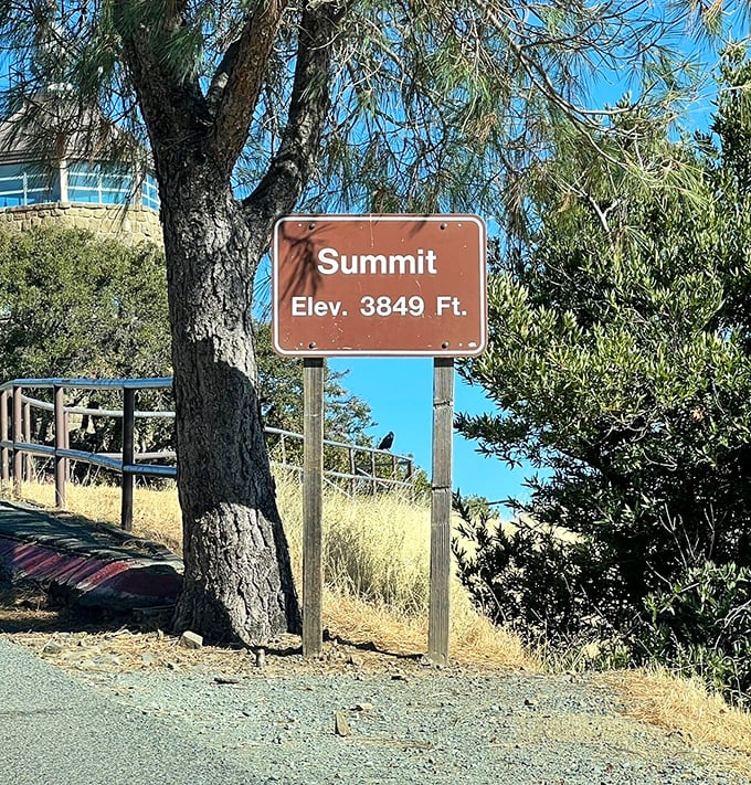 "Summit Elev. 3849 Ft." doesn't quite capture the feeling of standing atop what feels like the roof of Northern California.