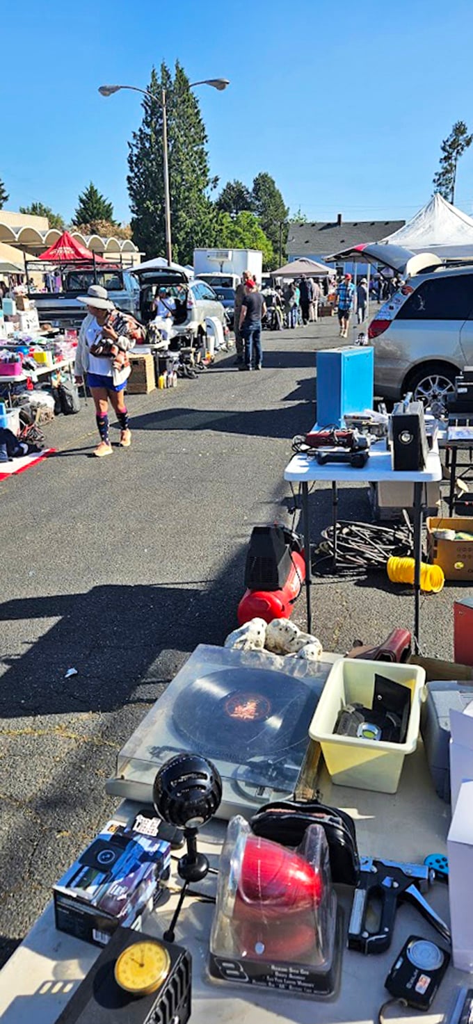Under perfect Portland blue skies, shoppers scan tables of possibilities. That turntable might just be your next conversation piece.