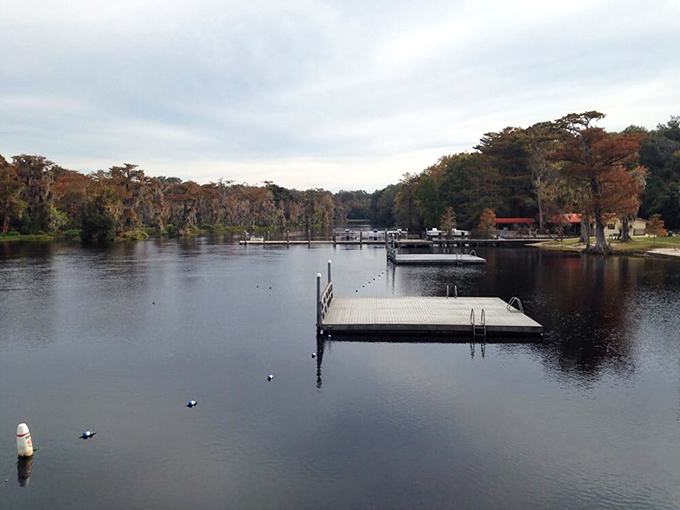 Autumn's golden light transforms Wakulla Springs into a painter's dream, with wooden docks standing ready for tomorrow's swimmers and dreamers.
