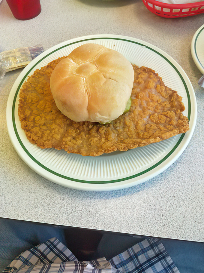 The tenderloin sandwich that ate Manhattan! This golden-fried masterpiece makes the bun look like it's playing a supporting role.