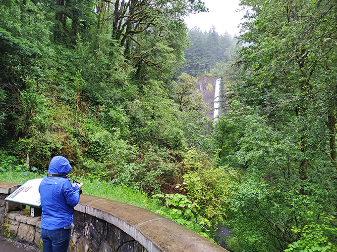 Rainy day magic: Some visitors come prepared with rain gear, proving the old Oregon saying that there's no bad weather, just inappropriate clothing choices.
