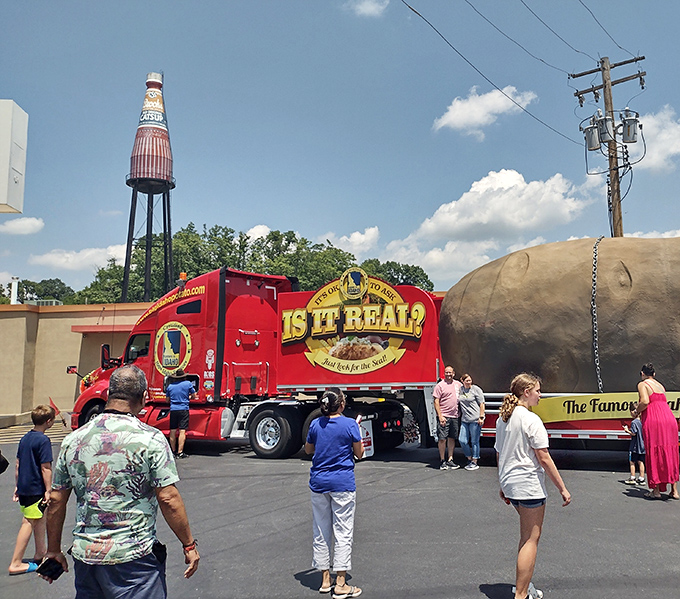 Even the "Is It Real?" truck seems impressed by the bottle's grandeur. Spoiler alert: yes, it's really that magnificent.