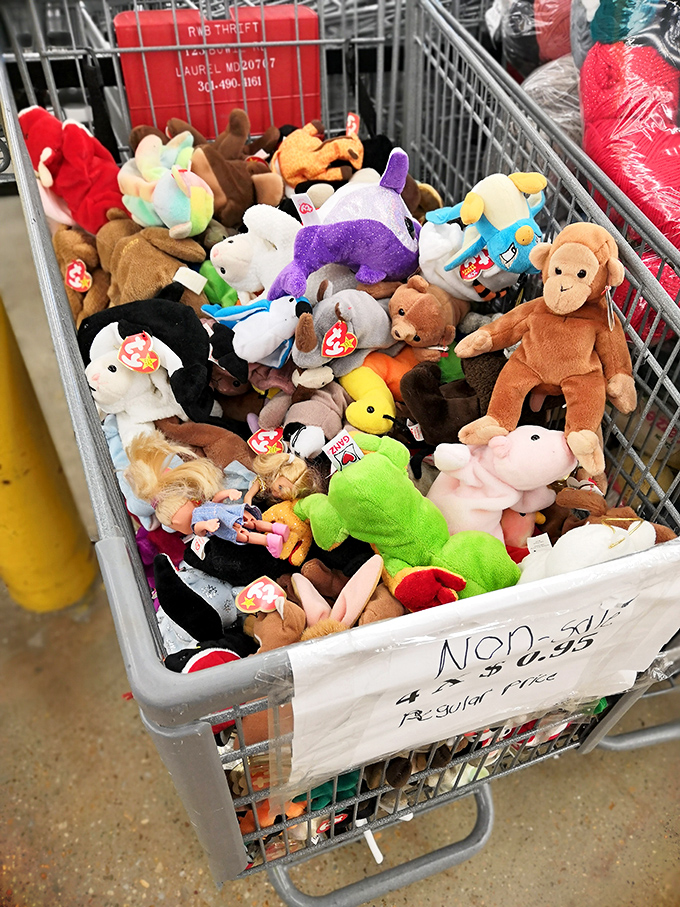 The stuffed animal bin &ndash; where childhood memories are reborn and Beanie Babies stage their comeback tour.
