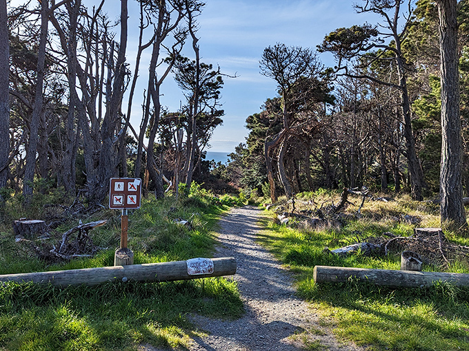 This trail promises adventure without the need for bear spray or satellite phones. Just you, some sturdy shoes, and views worth every step.