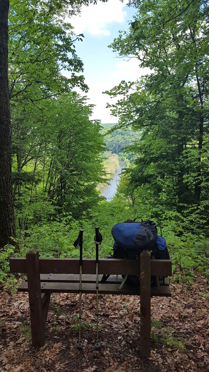 The reward for a challenging hike? This breathtaking valley vista where the creek carves its path through emerald forests.
