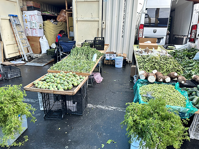 Farm-fresh vegetables arranged with surprising care, straight from field to flea market. Proof that the best produce doesn't need fancy lighting or misting systems.