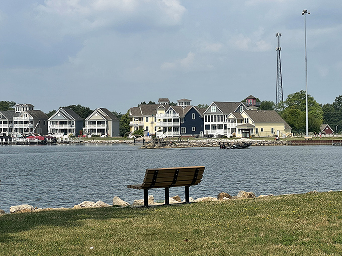 Front-row seats to nature's greatest show. This bench has hosted more sunset admirers and deep conversations than most therapists' offices.