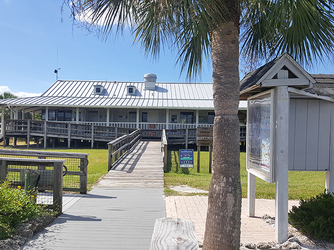 Your headquarters for island intel, where rangers share wisdom like bartenders with better stories and worse tips.