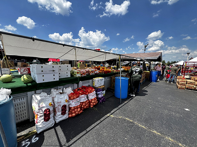 Under bright blue skies, the outdoor market transforms into a produce paradise where local farmers showcase nature's bounty.