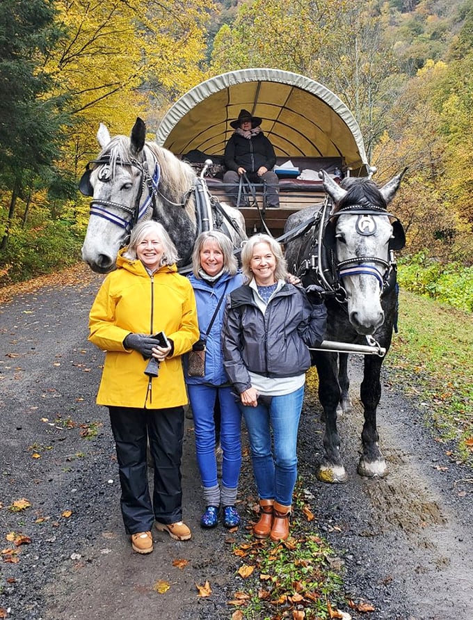 Fall foliage provides the perfect backdrop for these magnificent draft horses. Mother Nature's showing off her autumn wardrobe in spectacular fashion.