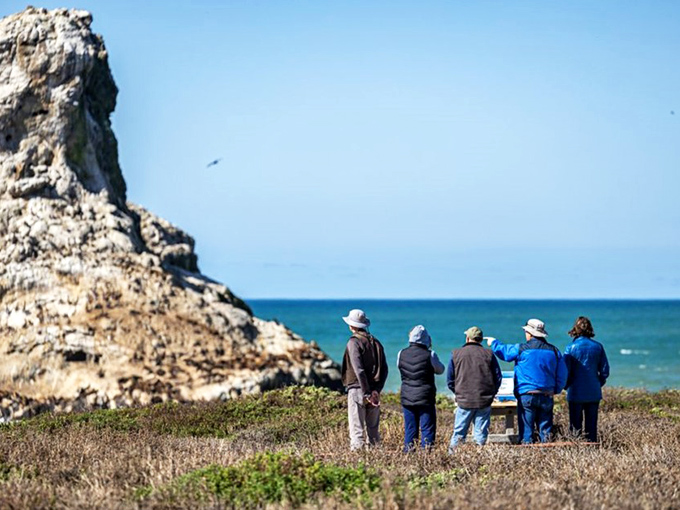 Tour groups discover that the best views come with windblown hair and stories worth retelling at dinner.