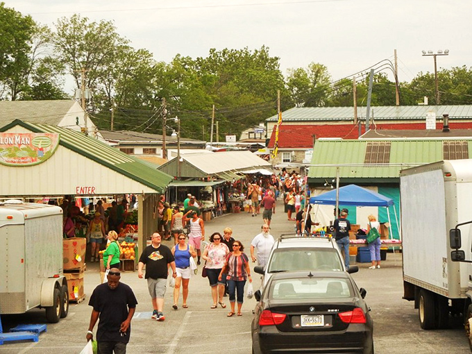 The market's bustling thoroughfare, where shoppers become part of a Friday ritual as timeless as bargaining itself.