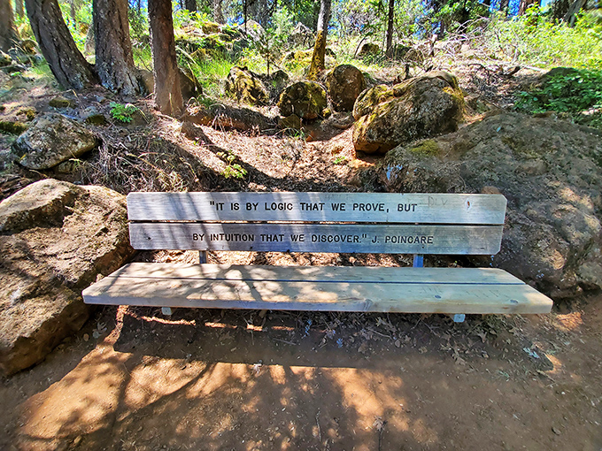 The perfect perch for contemplating life's big questions while nature provides the soundtrack.
