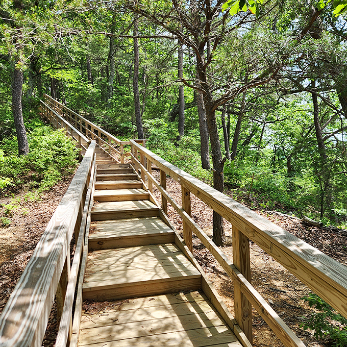 These wooden steps might as well be the staircase to Narnia. Each one brings you closer to views that'll make your Facebook friends jealous.