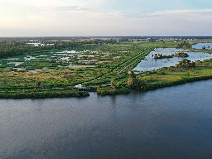 Where land meets water in a timeless dance. The Altamaha's vast wetlands are Georgia's answer to the Everglades!