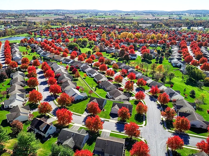 Autumn's fiery display transforms ordinary streets into nature's masterpiece, viewable from every affordable front window.