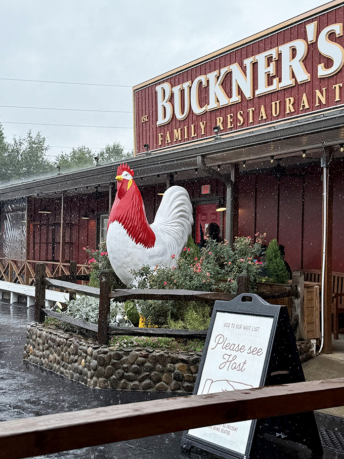 That giant rooster out front isn't just for show&mdash;it's standing guard over Georgia's comfort food treasure.