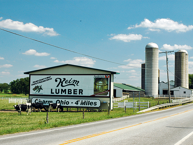 Pastoral perfection: Charm's rolling farmland showcases the careful stewardship that makes this landscape so breathtaking.