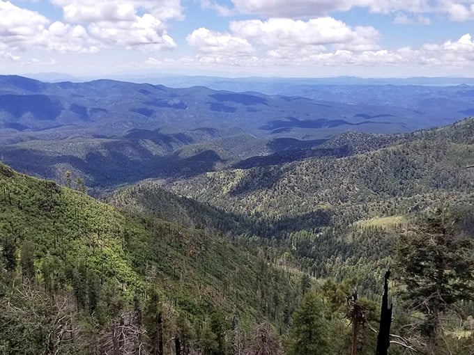The Coronado Trail's endless vista of rolling mountains &ndash; where fifty shades of green replace the expected desert palette.