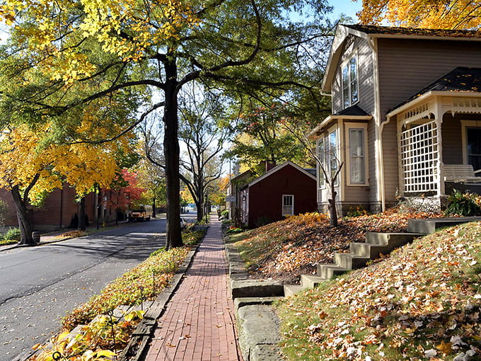 Fall magic in Coshocton! Historic brick buildings glow with autumn colors, creating a scene straight from a Norman Rockwell painting.