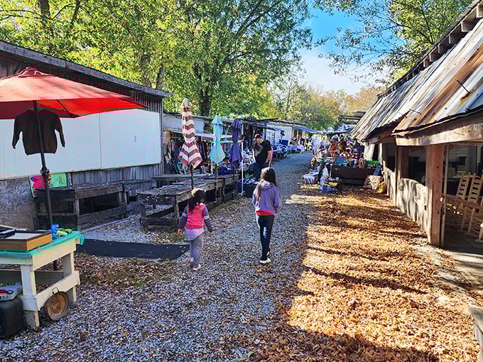 Crossville Flea Market&rsquo;s rustic charm and colorful stalls invite you to wander, explore, and uncover treasures around every corner.