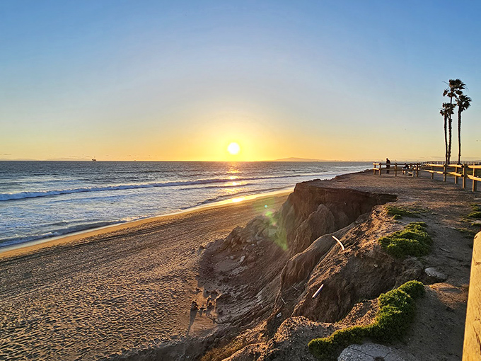 Huntington's golden hour transforms the beach into a dream. That sunset is worth the drive, even if your dog is too busy digging to notice.