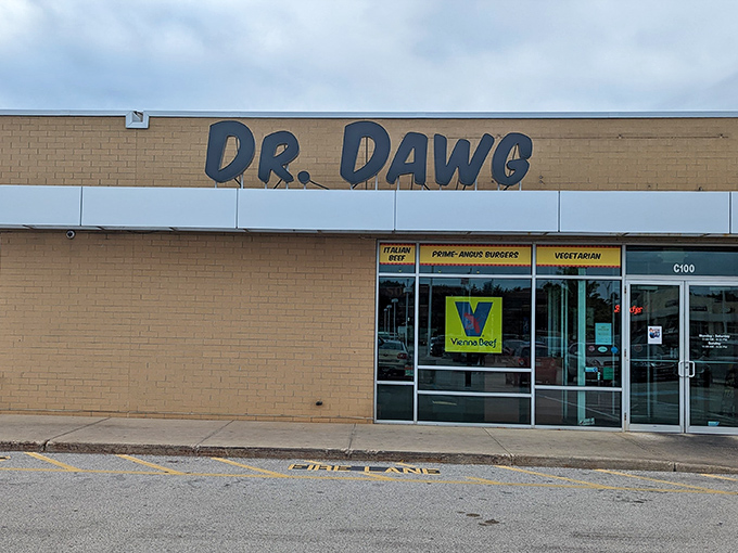 Dr. Dawg prescribes the perfect cure for hunger with its no-nonsense approach to hot dog excellence. No appointment necessary!