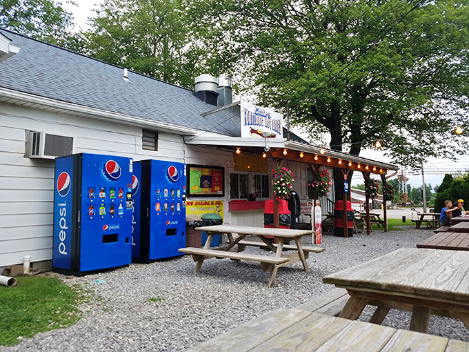 Eddie's outdoor picnic tables invite you to enjoy summer's perfect companion&mdash;a footlong hot dog under open skies.