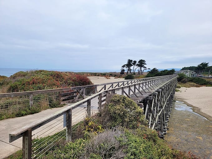 Fort Bragg's wooden boardwalk bridges wild coastline to civilization. Nature and convenience having a friendly chat over coffee.