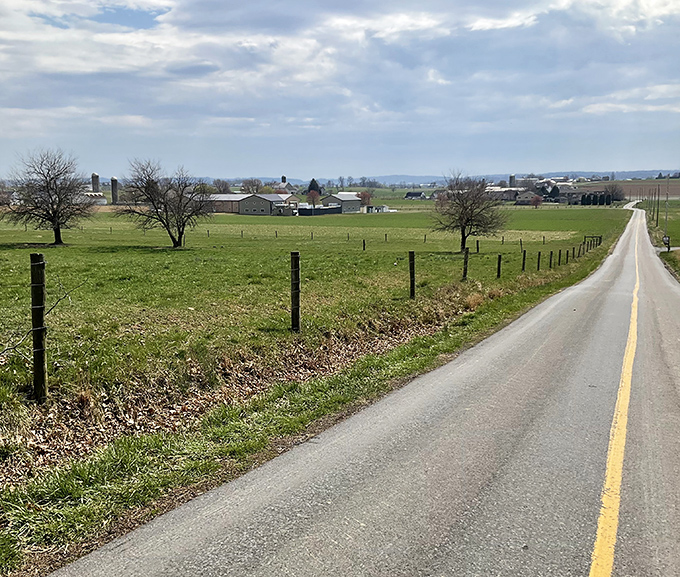Rolling farmland stretches endlessly, creating nature's own green carpet that never needs vacuuming or replacement.
