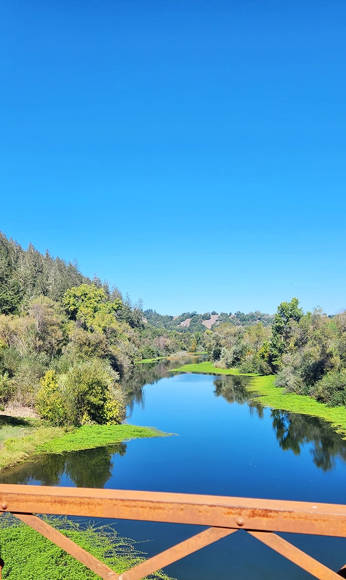 The Russian River flows like a lazy blue ribbon through wine country, offering the perfect cool-down after a day of "research" at the vineyards.