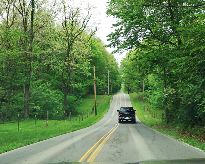 Hoosier Hills' rolling landscapes unfold like a gentle roller coaster for grown-ups. No tickets required, just a full tank of gas!