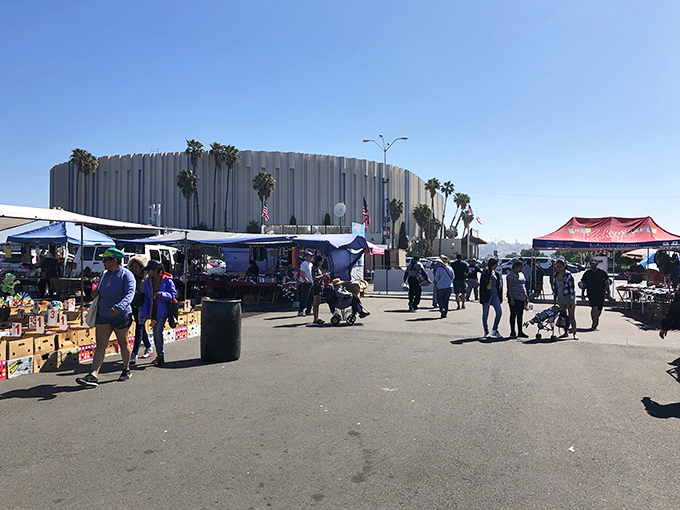 Kobey's colorful canopies create a bargain hunter's paradise. San Diego's famous swap meet has something for everyone!