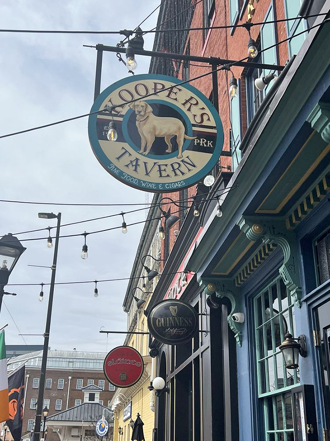 Kooper's Tavern's charming sign features a loyal golden retriever. Because every great burger deserves a faithful companion.