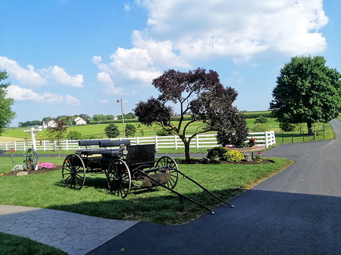 Lancaster County's rolling farmland stretches forever, dotted with barns straight from a postcard.