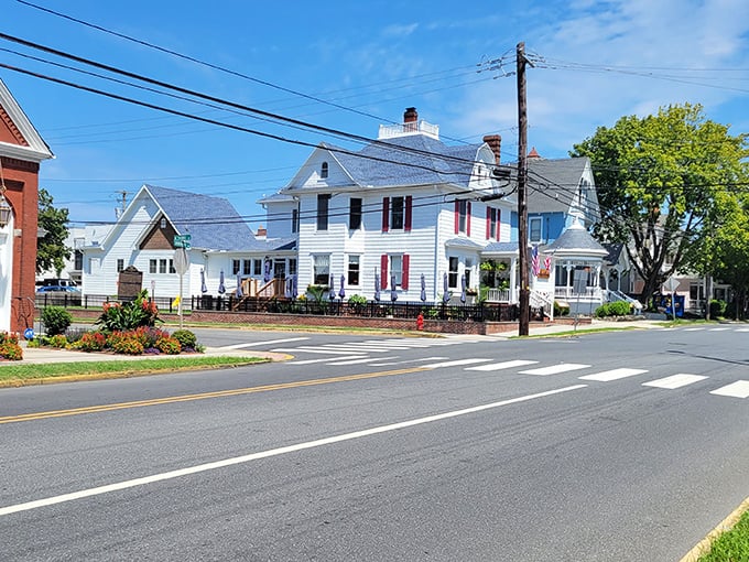Charming streets of Lewes welcome you with historic homes, vibrant flowers, and a warm small-town atmosphere by the coast.