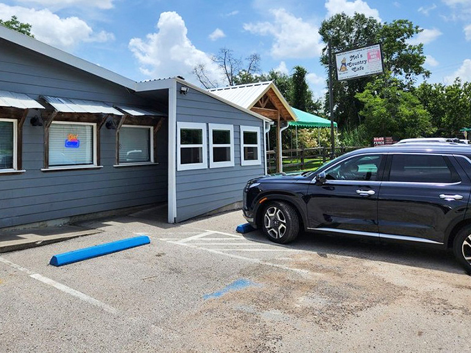 Sometimes the best treasures come in humble packages, just ask any Tomball regular.