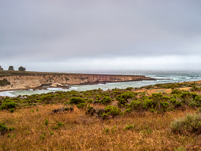Montana de Oro's hidden coves feel like you've stumbled onto the set of a pirate movie.