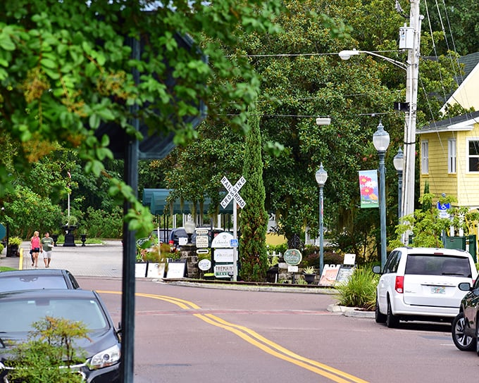 Mount Dora looks like a painter's palette of buildings nestled among trees and waterfront views.