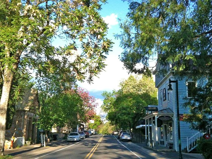Peaceful and picturesque, Murphys, California offers tree-lined streets, historic charm, and a welcoming small-town vibe nestled in the heart of Gold Country.