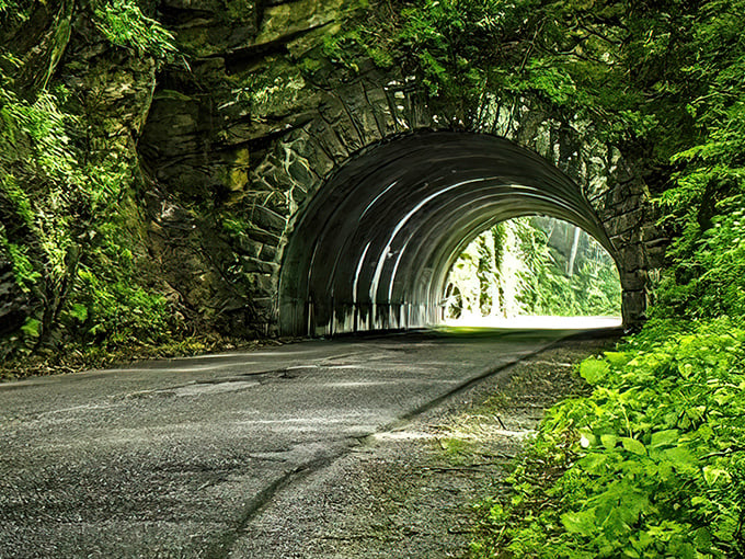 Newfound Gap Road's misty mountain tunnels transport you straight into what feels like a fantasy novel's opening chapter.