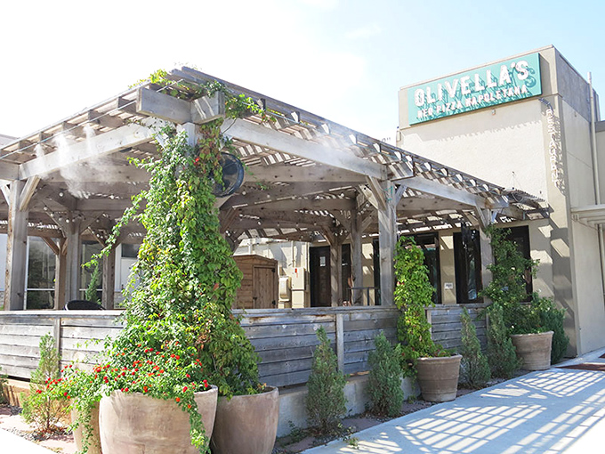 Olivella's Pizza and Wine: Vines climbing the pergola create the perfect rustic pizza atmosphere. Nature and pizza&mdash;a match made in heaven! 