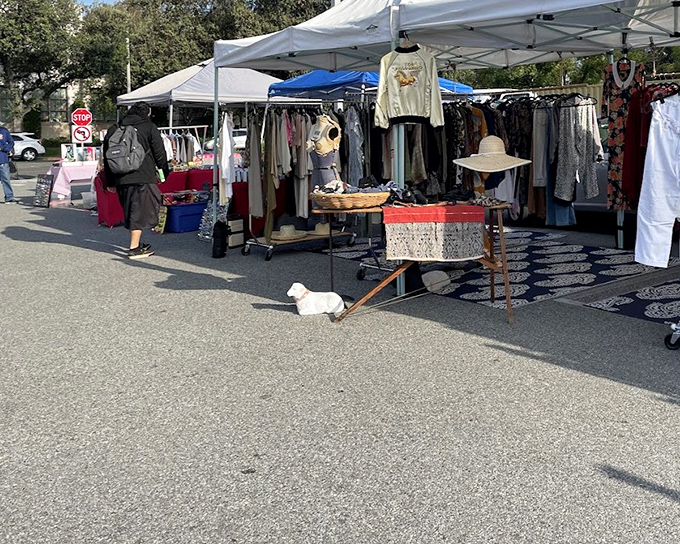 A small white dog accompanies its owner at PCC Flea Market, proving shopping is better with a four-legged friend.