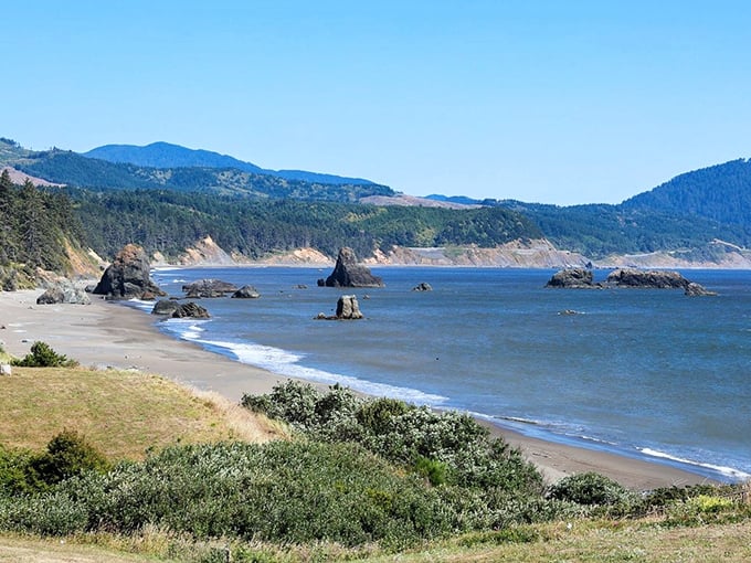 Port Orford's rugged coastline offers million-dollar views on a Social Security budget—no wonder artists flock here.