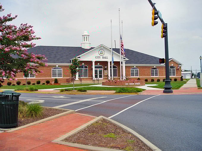 Seaford's City Hall stands proud with its classic brick design and welcoming cupola. The crepe myrtle blooms add a splash of color to this civic centerpiece.