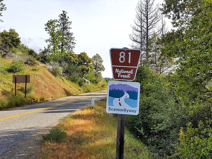 Follow the sign to Sierra Vista's hidden treasures. This scenic byway is California's best-kept secret for mountain lovers.