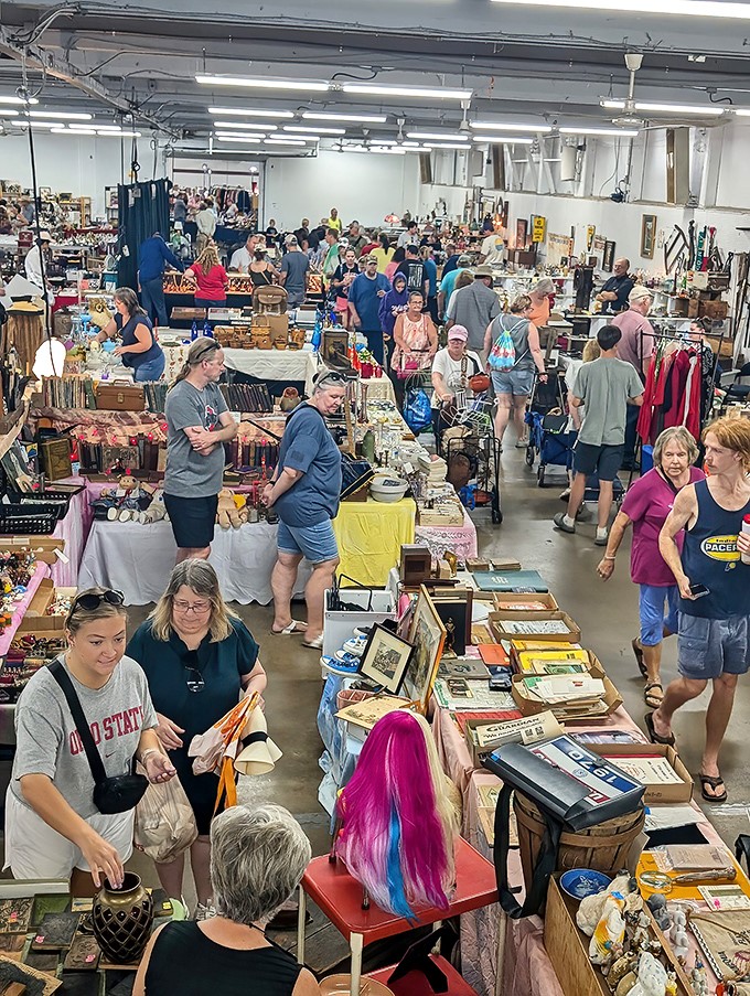 Springfield lives up to its name! The indoor wonderland where shoppers become explorers and aisles become adventures.