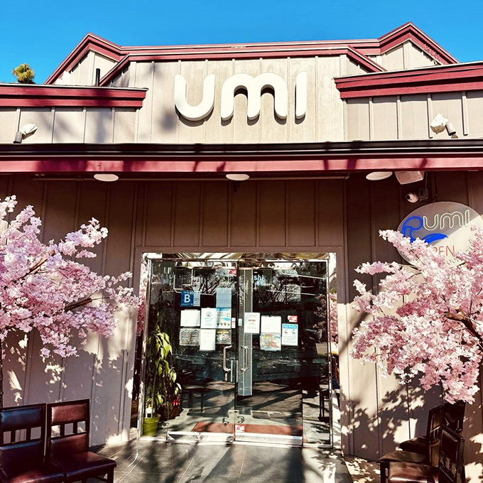 Cherry blossoms frame the entrance like nature’s welcome committee. Spring eternal at this triple-threat buffet!